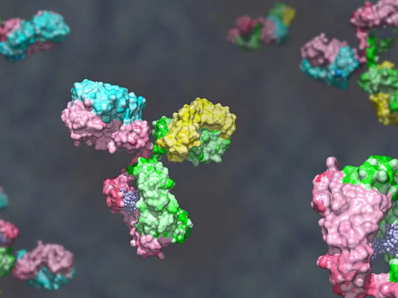 Mechanisms of acquired GPRC5D resistance following talquetamab in RRMM