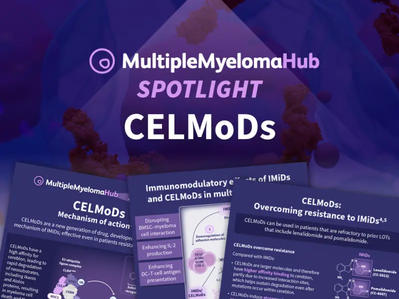 Mechanism of action for CELMoDs in MM
