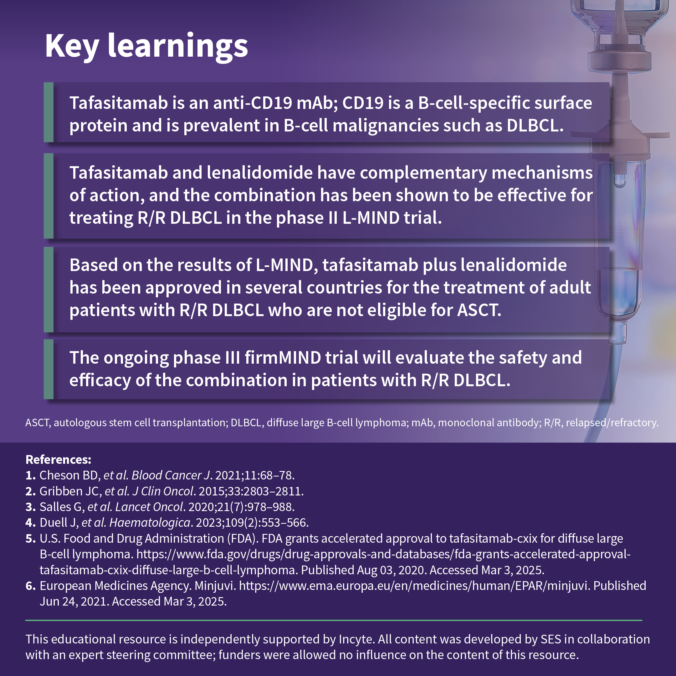 Tafasitamab for the treatment of patients with relapsed/refractory ...