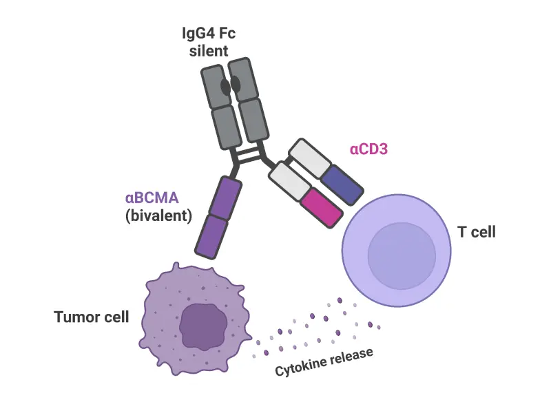 ABBV-383, a novel BCMA/CD3 bispecific antibody for the treatment of RRMM