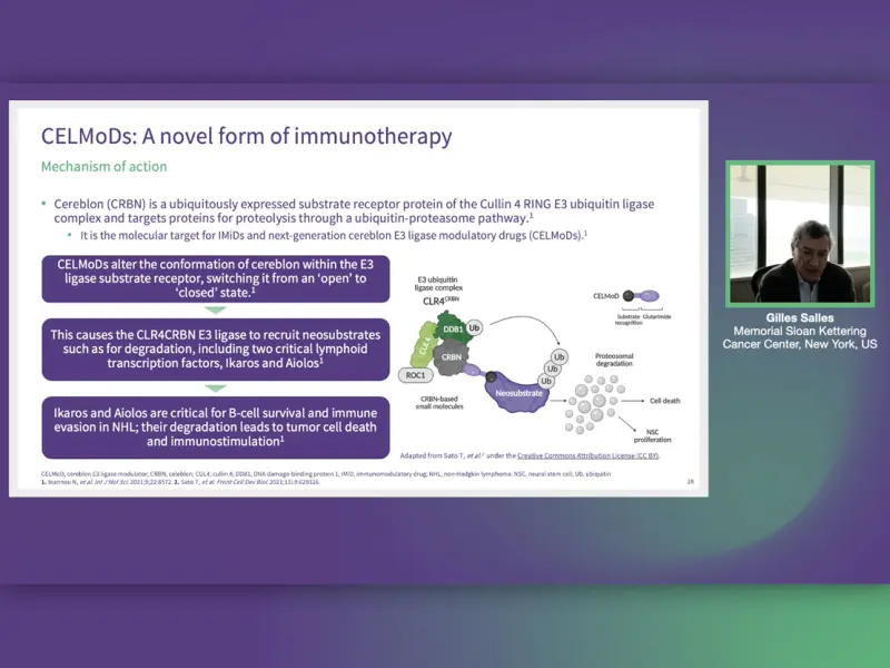 CELMoDs for the treatment of non-Hodgkin lymphoma