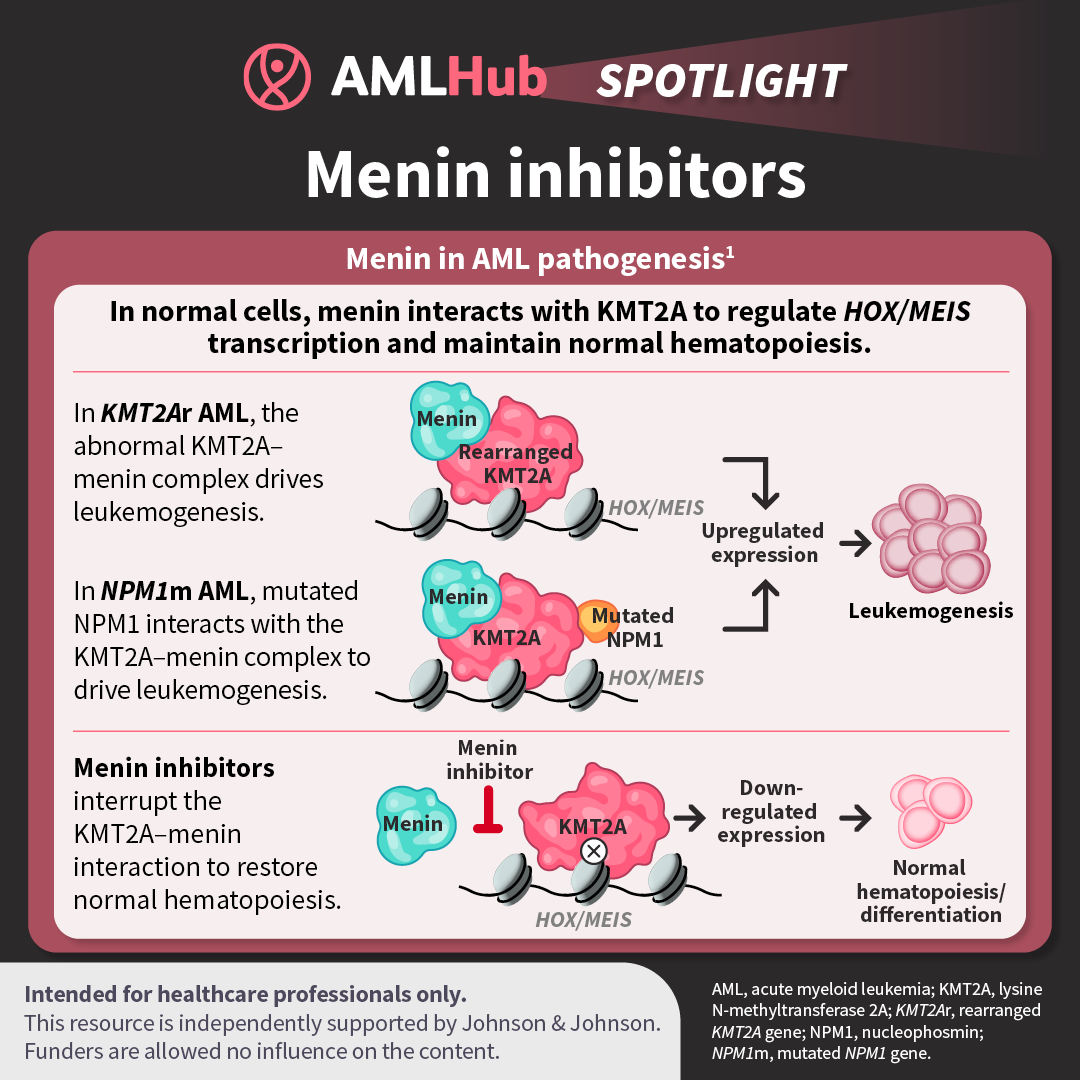 The role of menin in the pathogenesis of AML